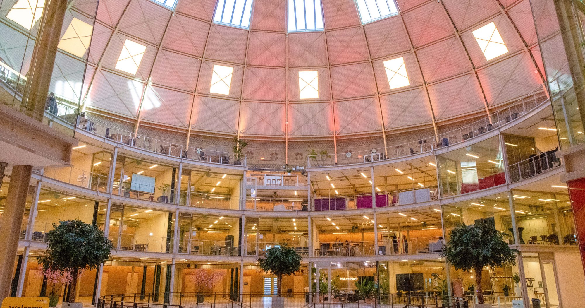 Our Campus: How Haarlem Campus is applying sustainable innovation