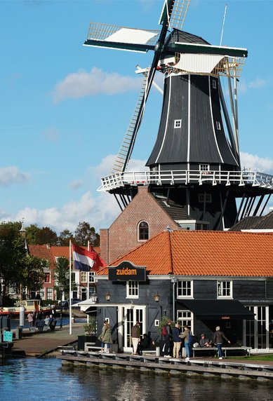 SRH Haarlem University of Applied Sciences | Why Haarlem, Netherlands?